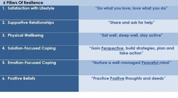 6 Pillars of Resilience. Stress management & building resilience - 5 ...